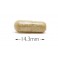 Kids Immunovite avec bêta-(1,3/1,6)-glucane, vitamines et minéraux